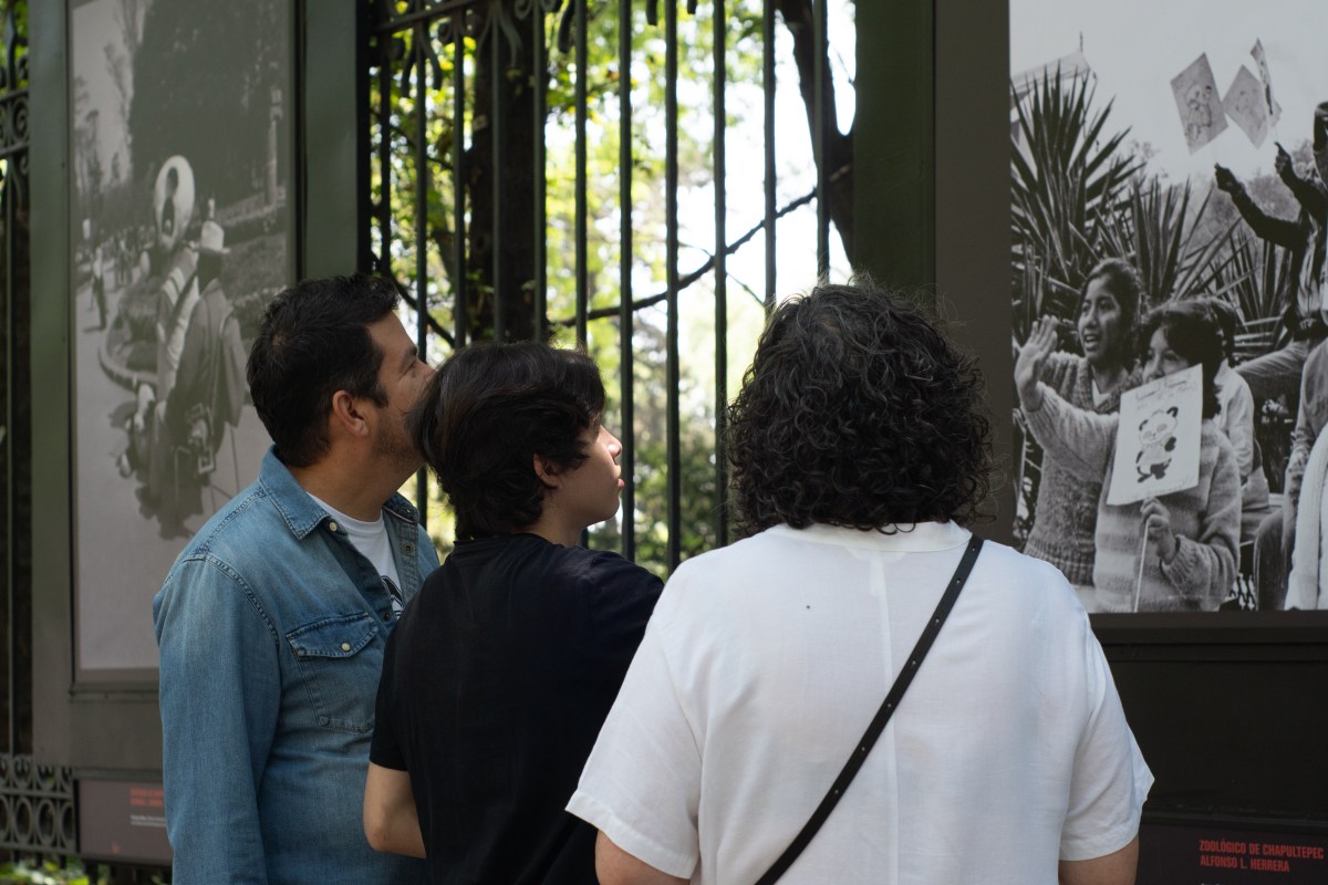 Exposición fotográfica en las rejas del Bosque de Chapultepec ...