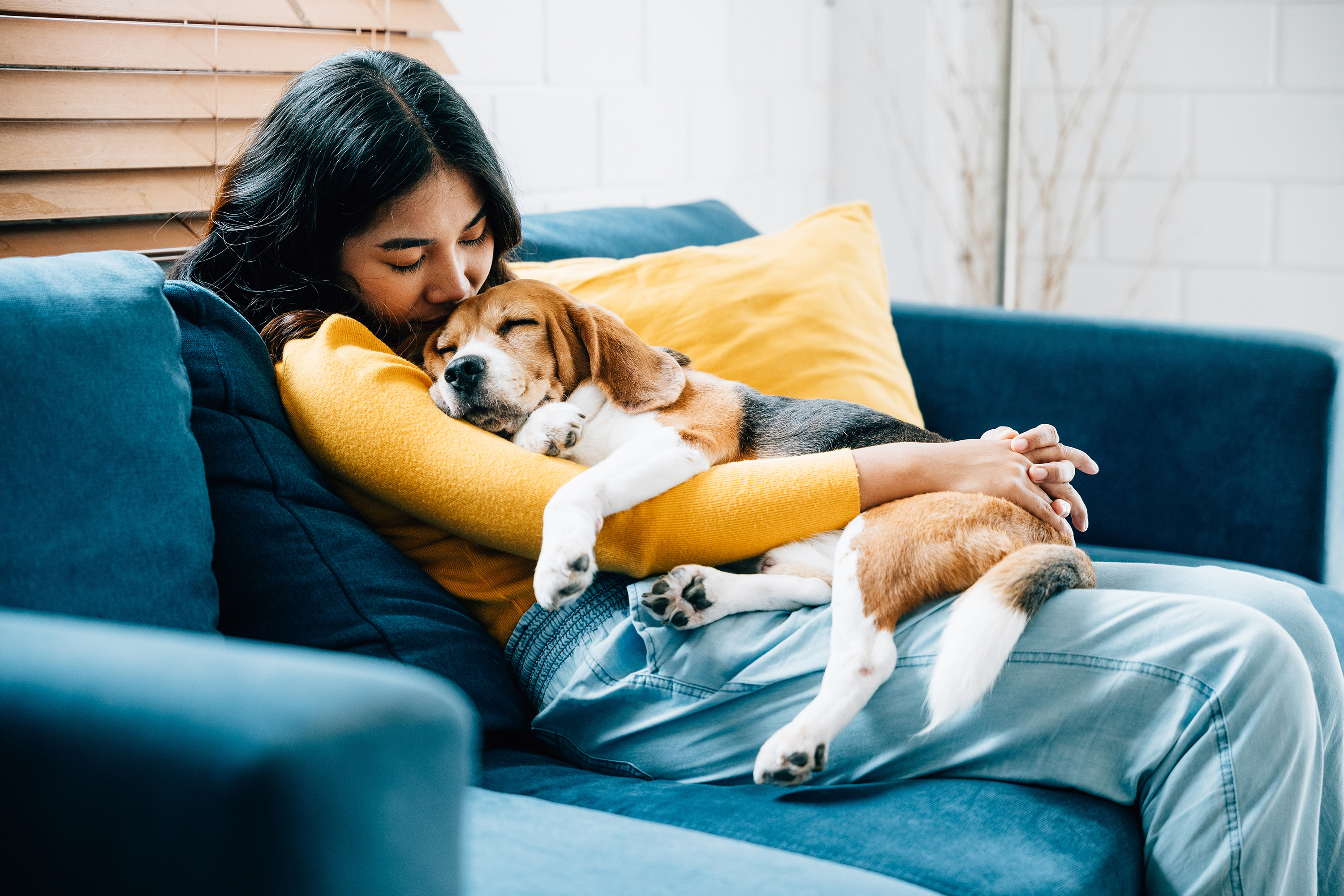 Cuida a tu mejor amigo: en el Día del Perro conoce la importancia de la ...