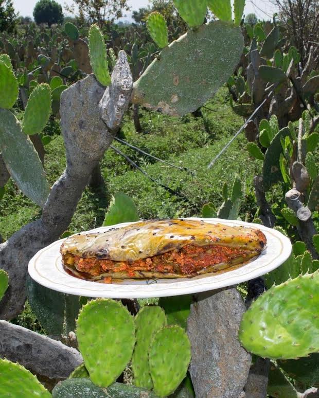 Penca rellena, un manjar exquisito de Valtierrilla – Expresión México