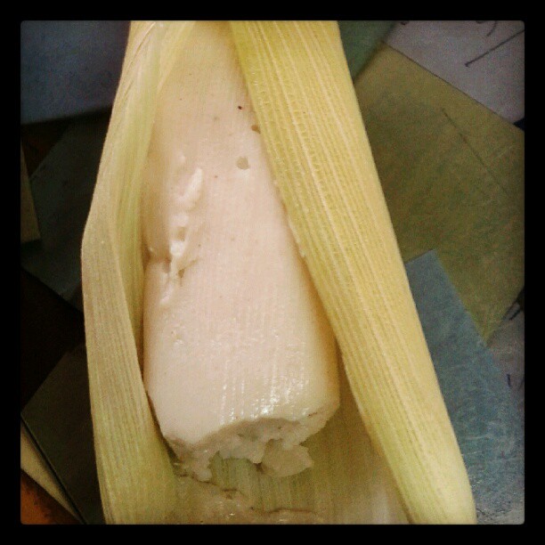 Tamales colados, una dulce delicia de Jalisco – Expresión México