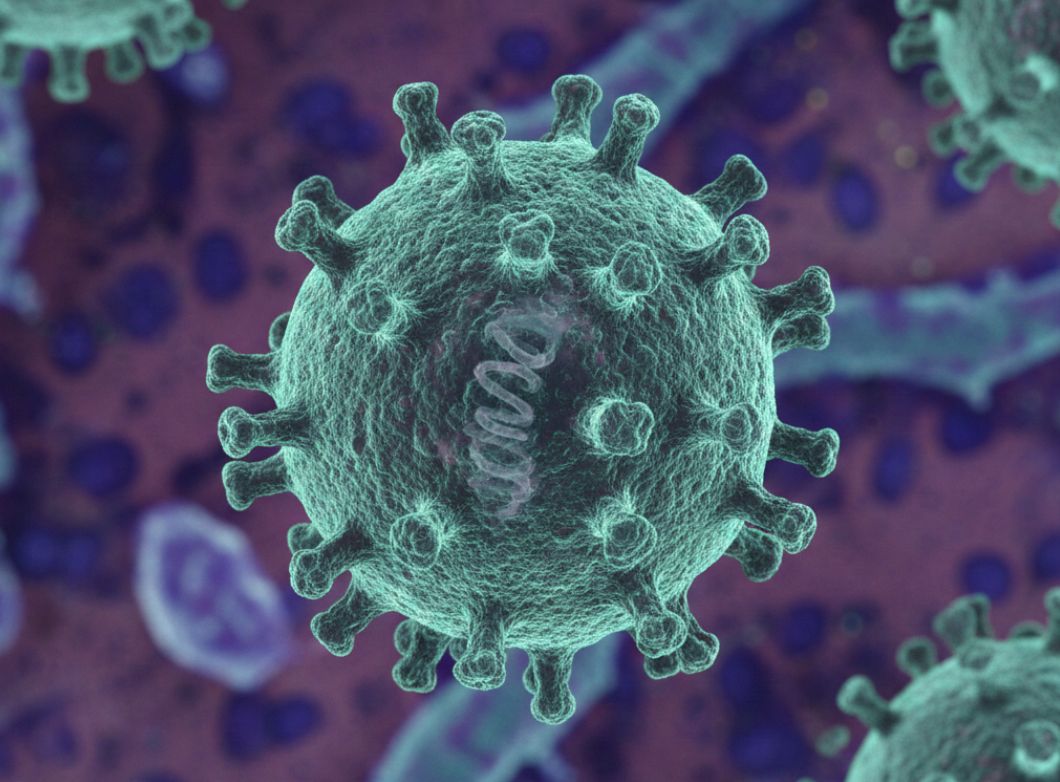 El mundo en alerta por nuevo brote de virus Nipah altamente mortal en ...